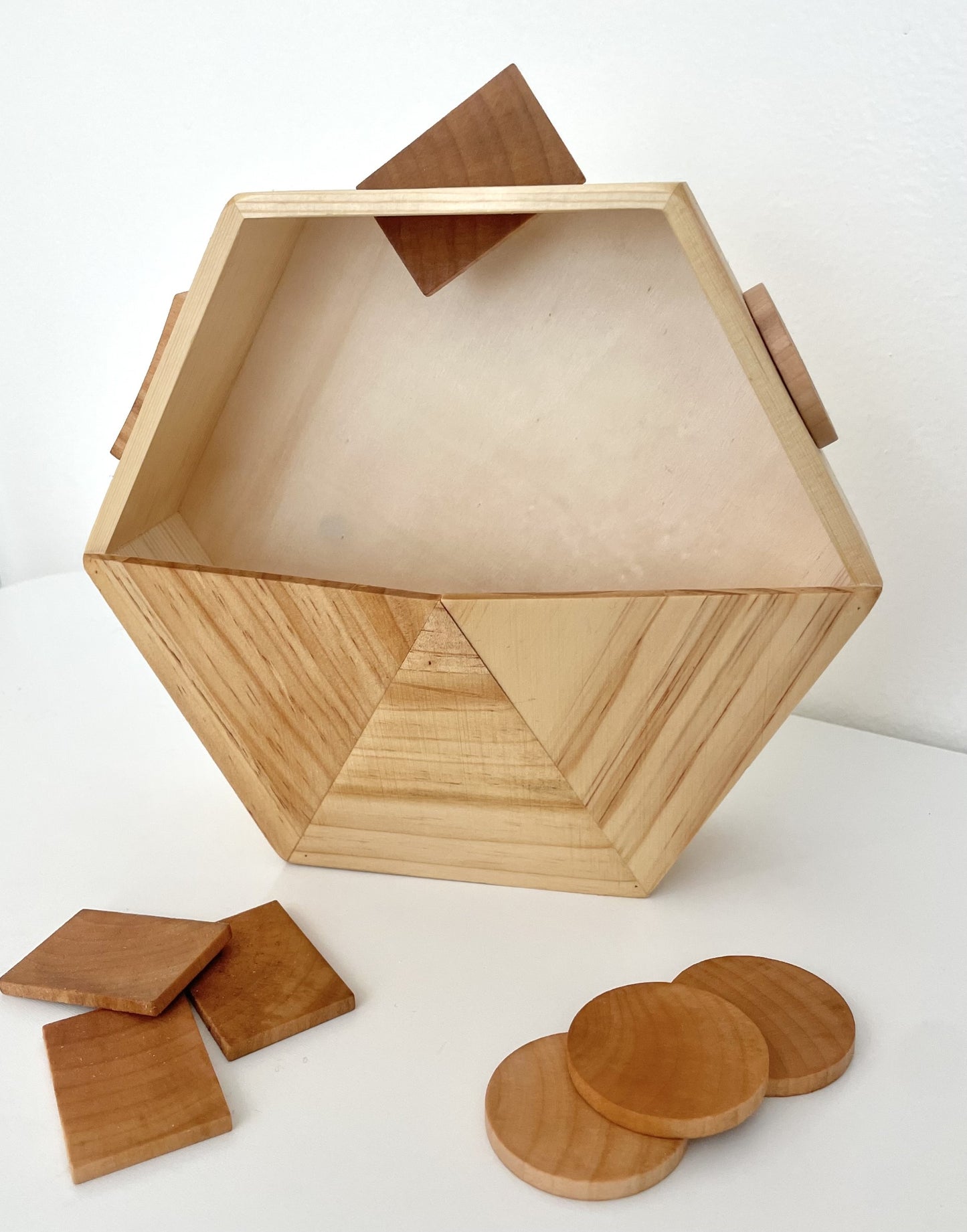 Montessori Shape & Slot Puzzle – Montessori for Minis